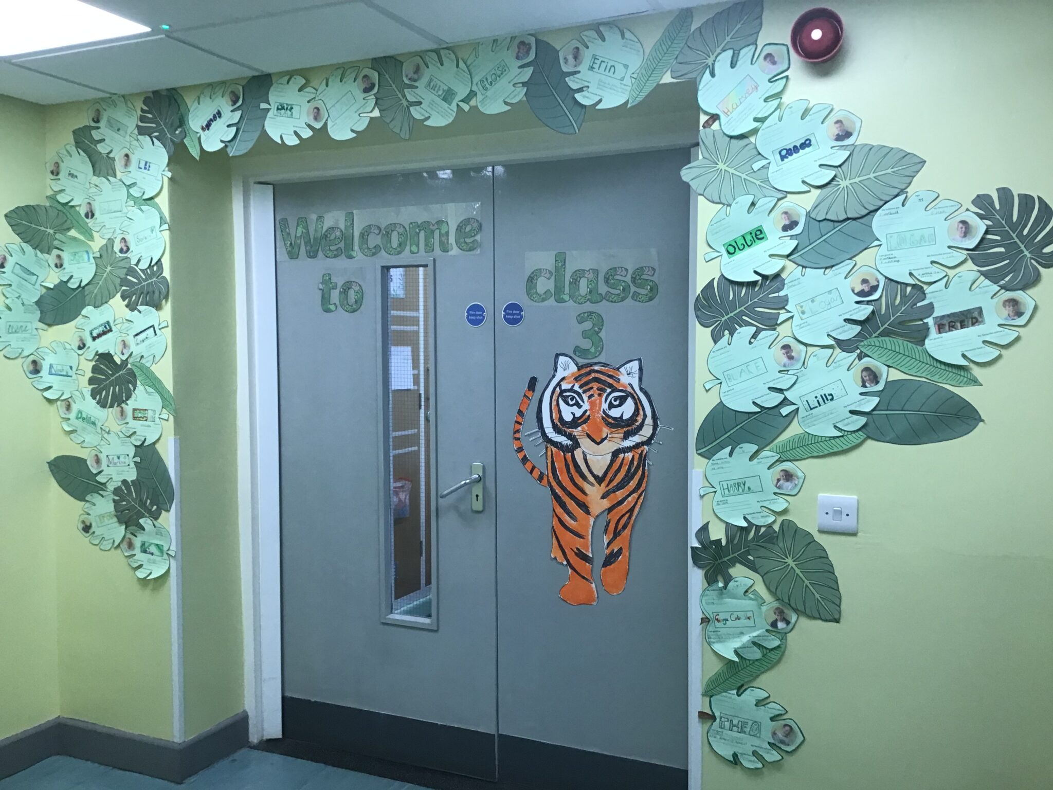 Class 3 – Nateby Primary School